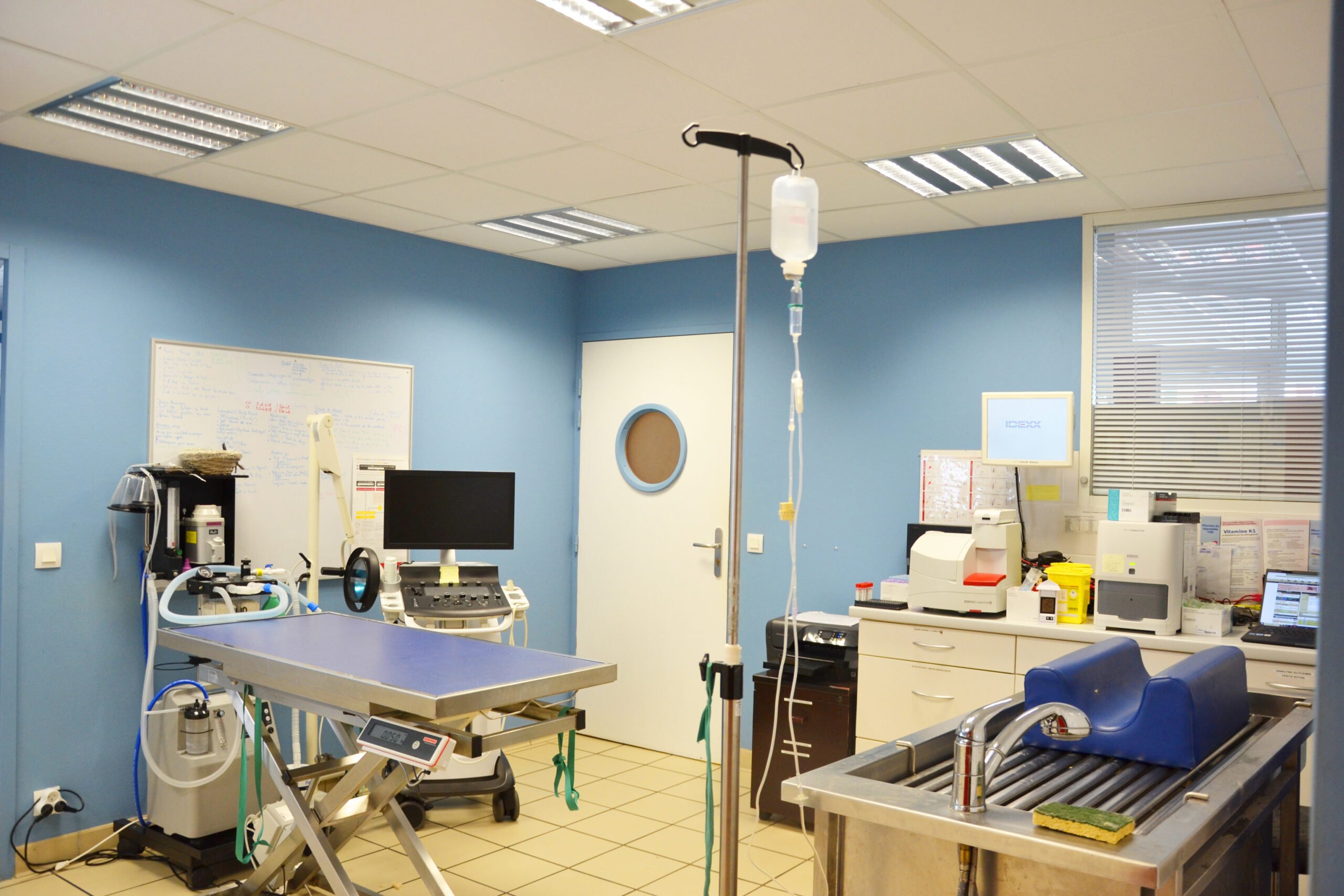 Clinique vétérinaire Aire sur Adour - Anibio