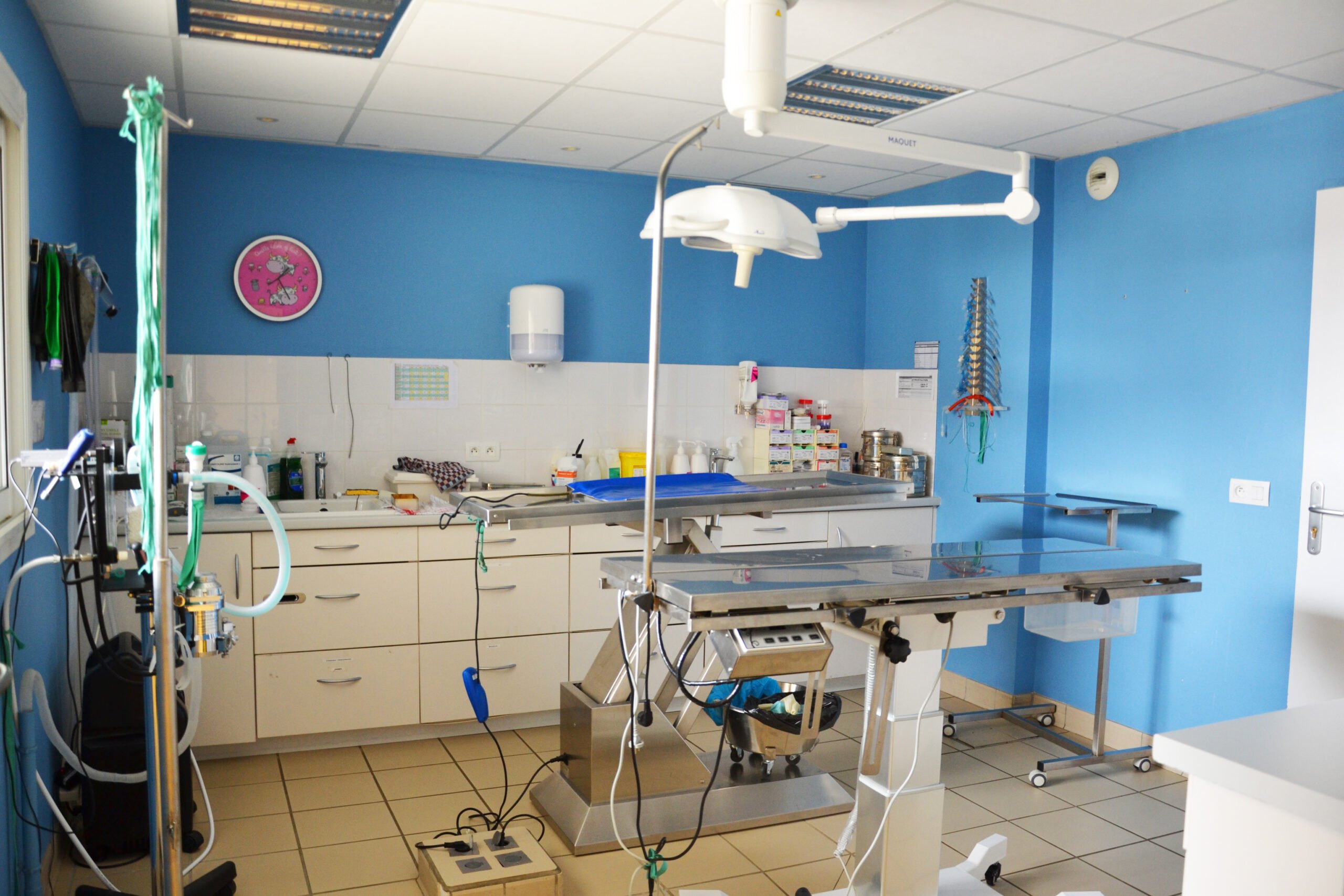 Clinique vétérinaire Aire sur Adour - Anibio